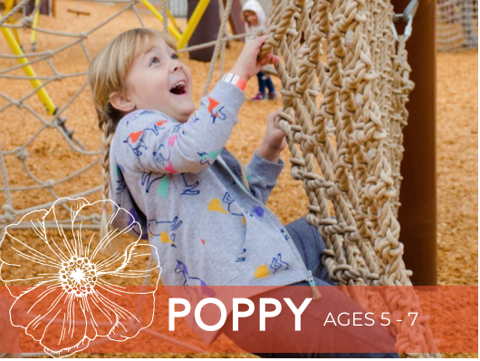 Quarry Park Adventures