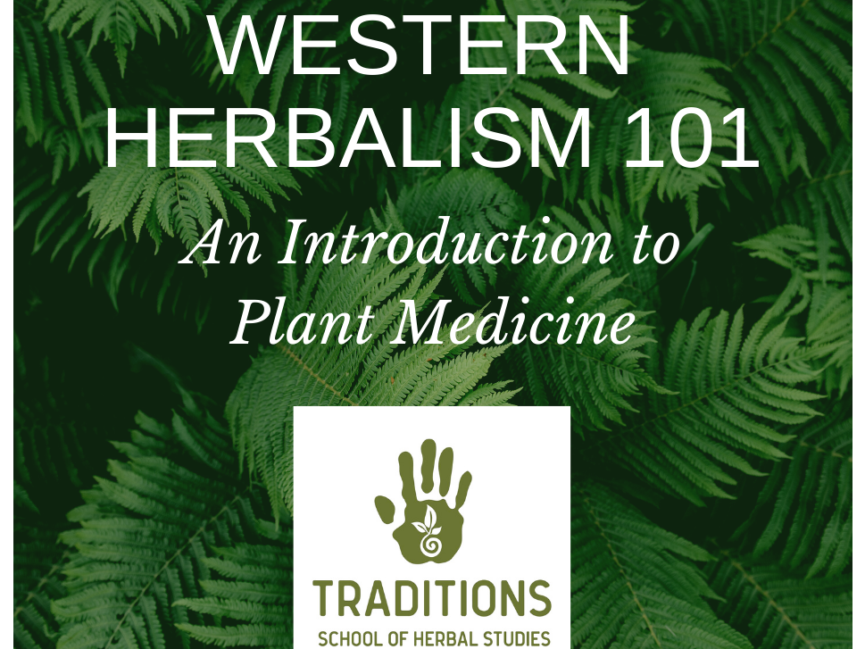 Western Herbalism 101 March | Jumbula